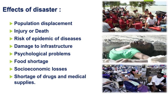 Basics of disaster risk management | PPTX | Environment | Science