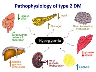 Diabetes: screening & diagnosis | PPT