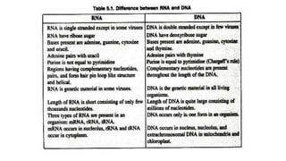 Basics of DNA & RNA (Nucleic acid) | PPTX
