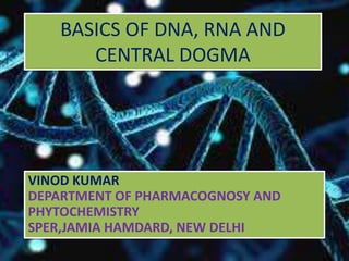 BASICS OF DNA, RNA AND CENTRAL DOGMA.pptx