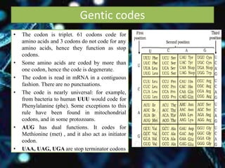 BASICS OF DNA, RNA AND CENTRAL DOGMA.pptx
