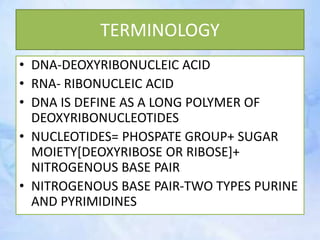 BASICS OF DNA, RNA AND CENTRAL DOGMA.pptx