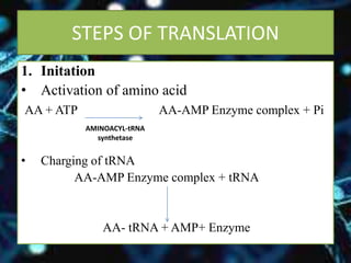 BASICS OF DNA, RNA AND CENTRAL DOGMA.pptx