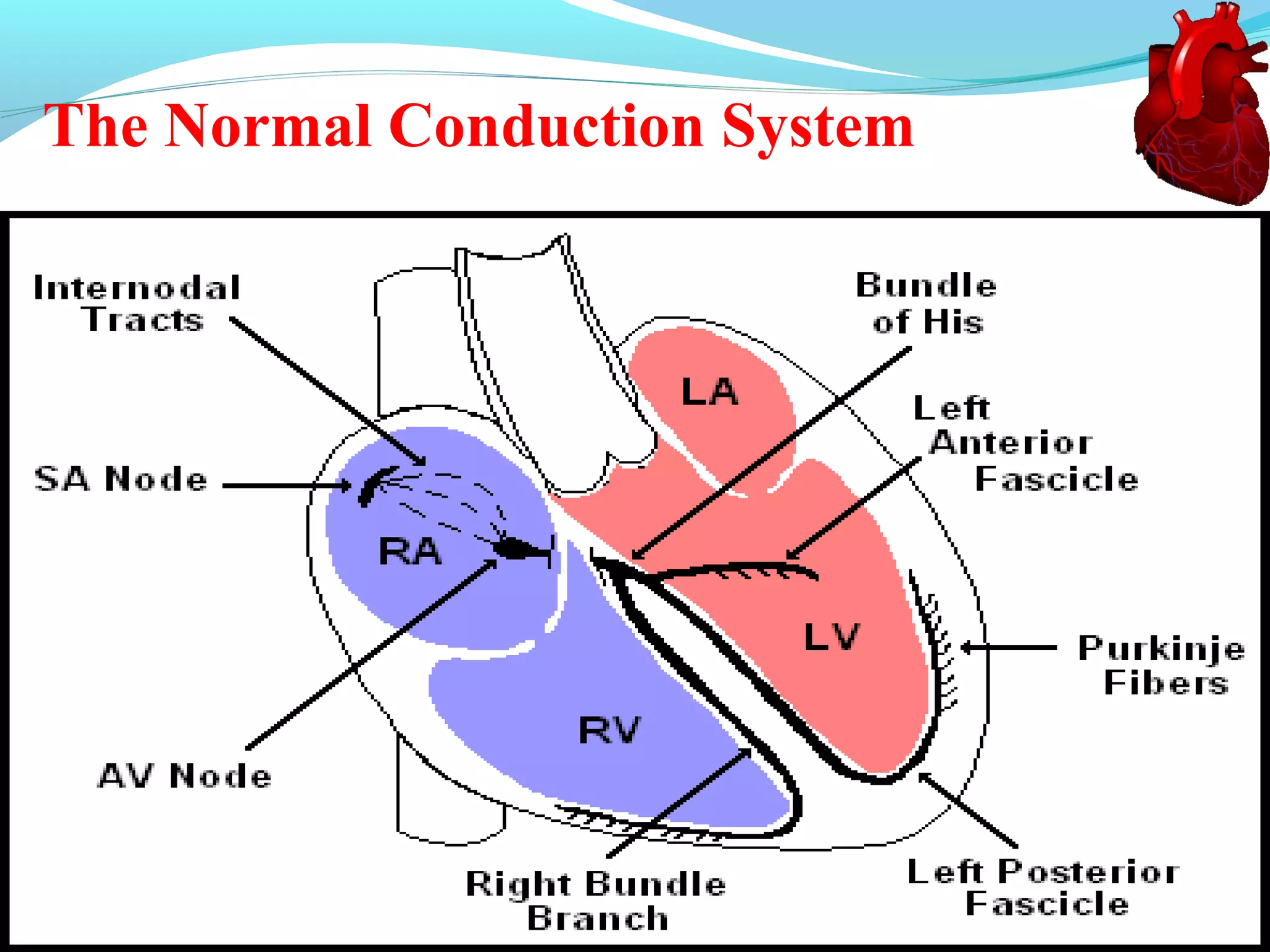 Basics of Electrocardiography(ECG) | PPT