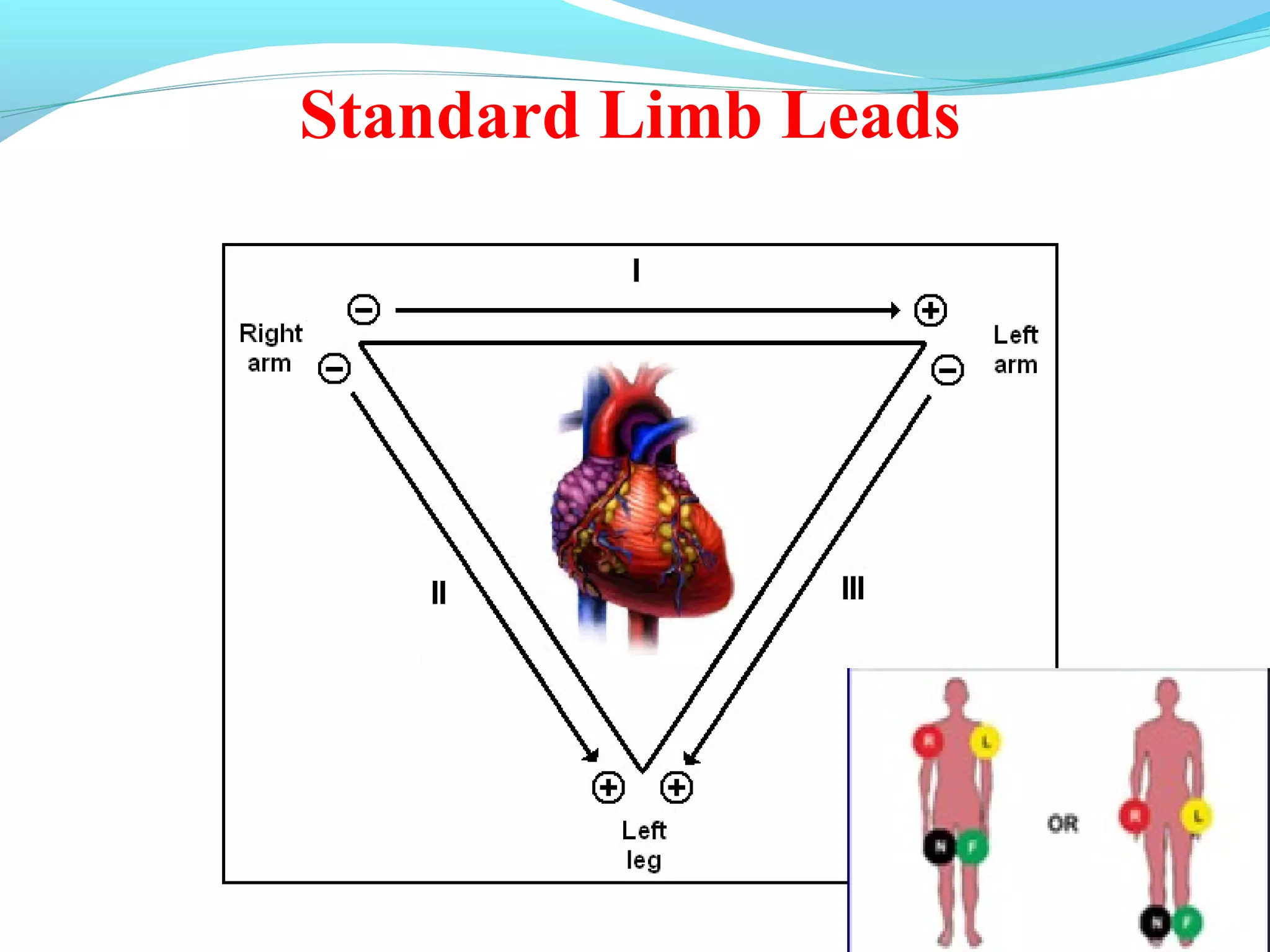 Basics of Electrocardiography(ECG) | PPT