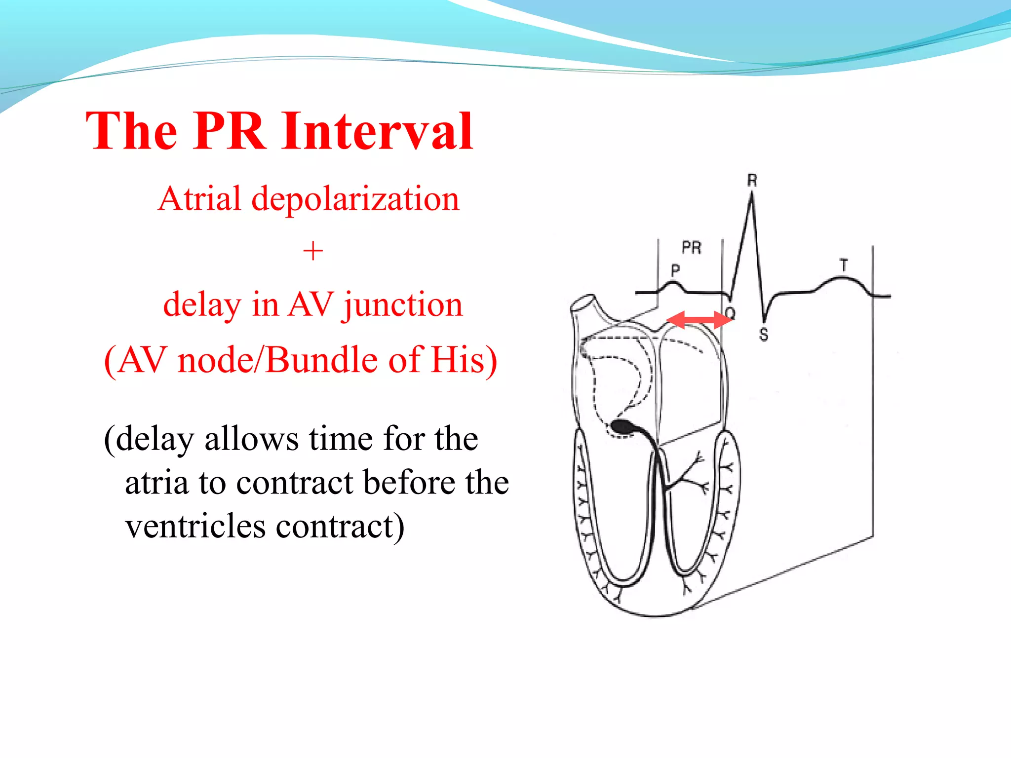 Basics of Electrocardiography(ECG) | PPT