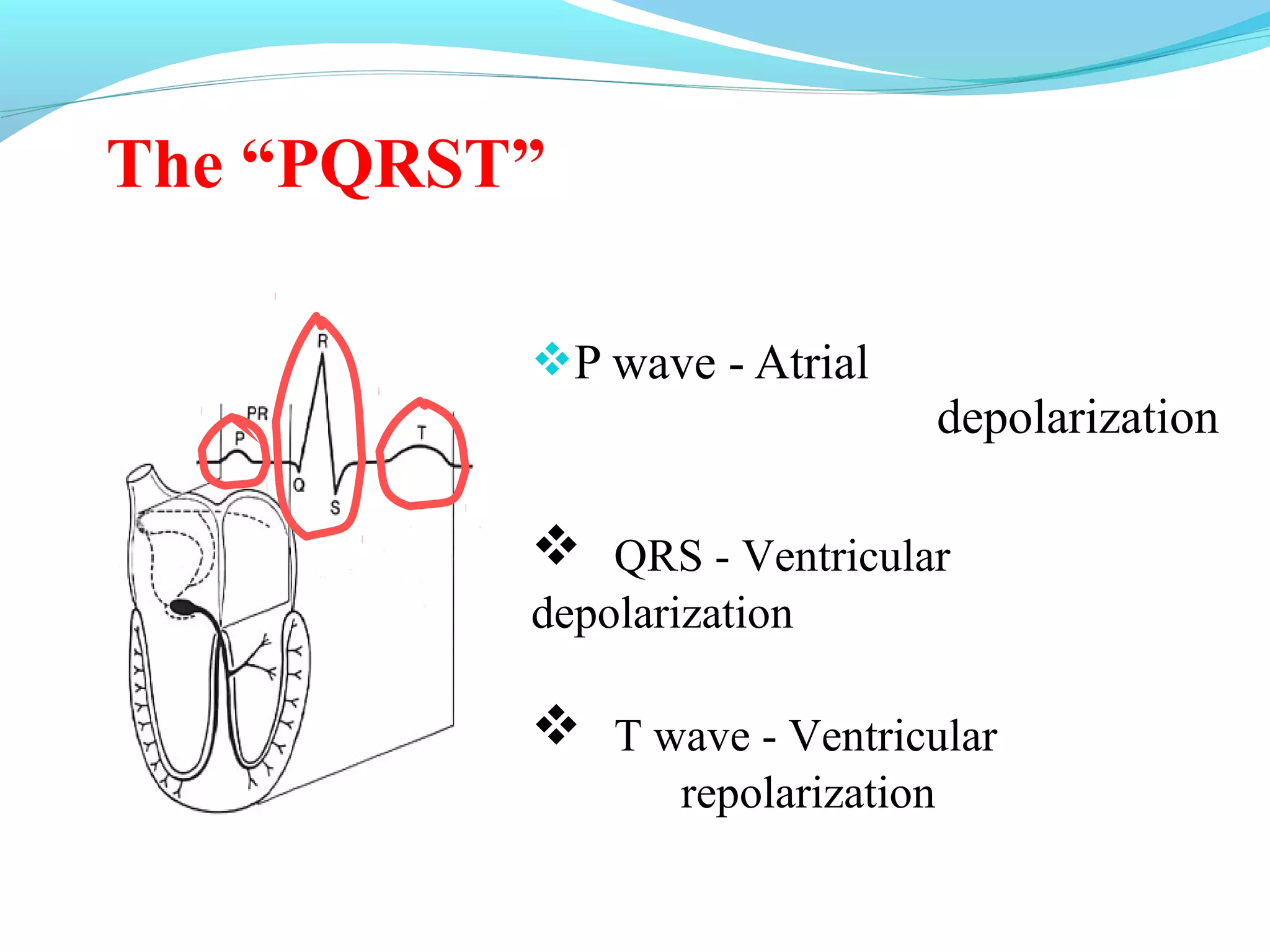 Basics of Electrocardiography(ECG) | PPT
