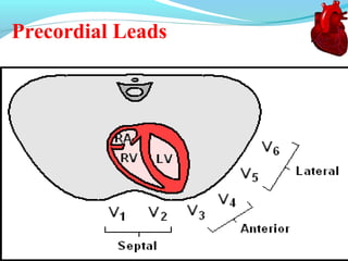 Basics of Electrocardiography(ECG) | PPT