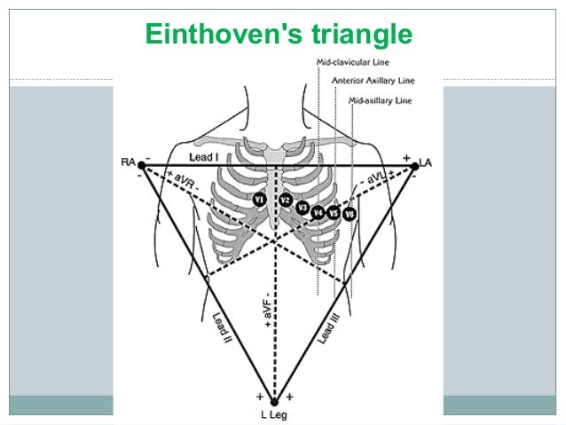 Basics of ecg