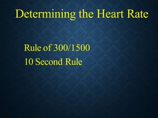 Basics of ecg | PPTX