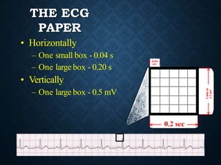 Basics of ecg | PPT