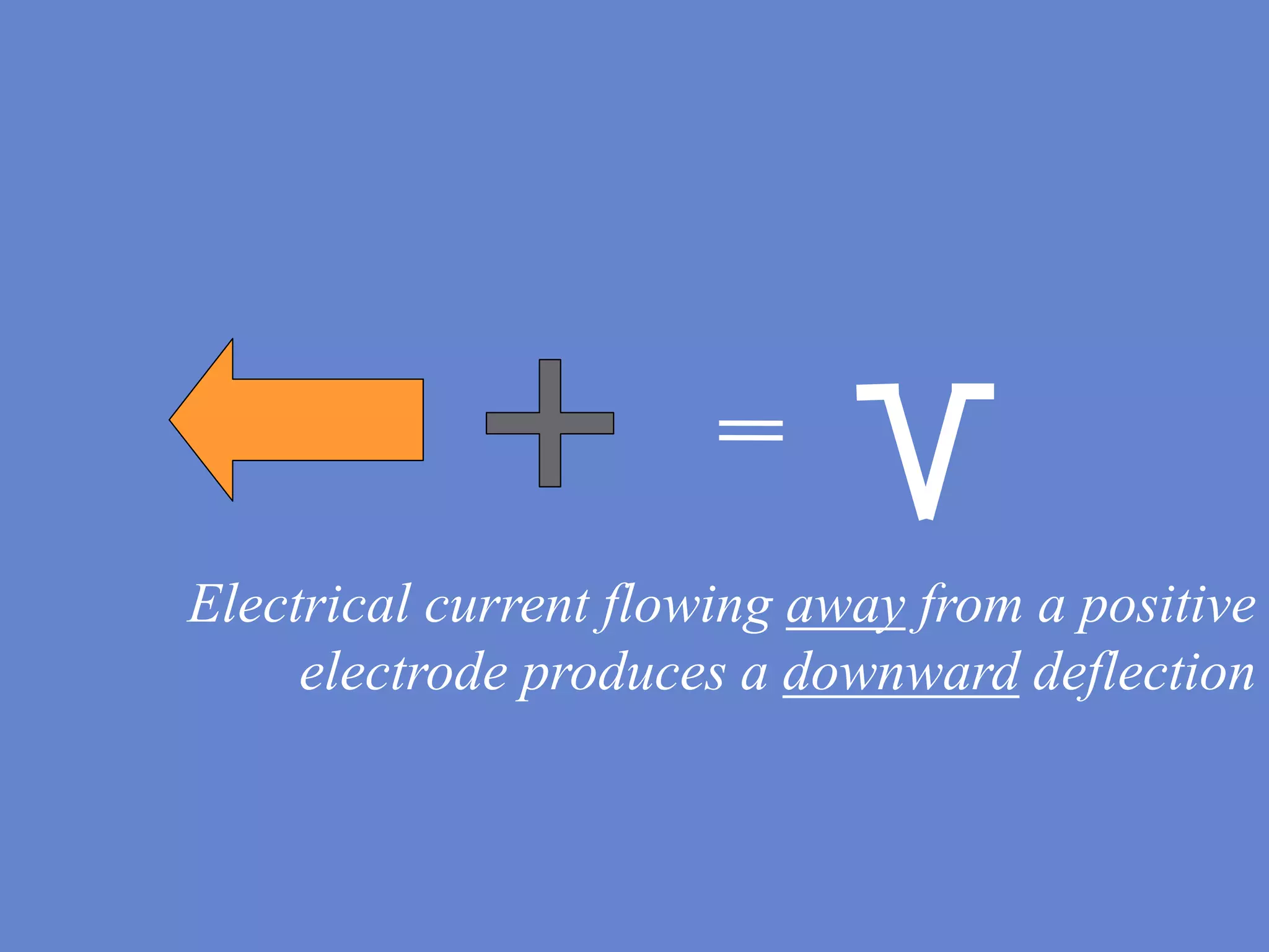 Basics of ecg | PDF