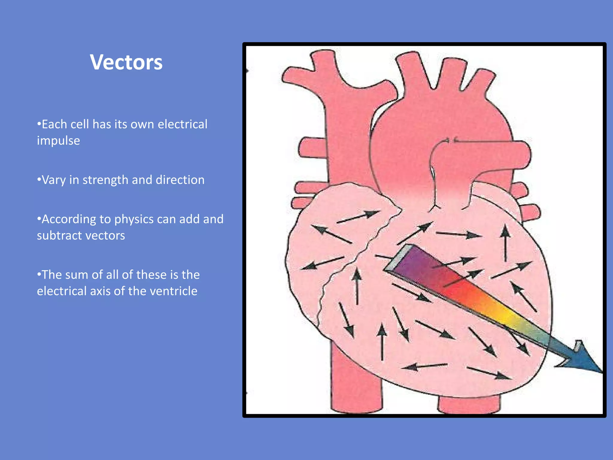 Basics of ecg | PDF