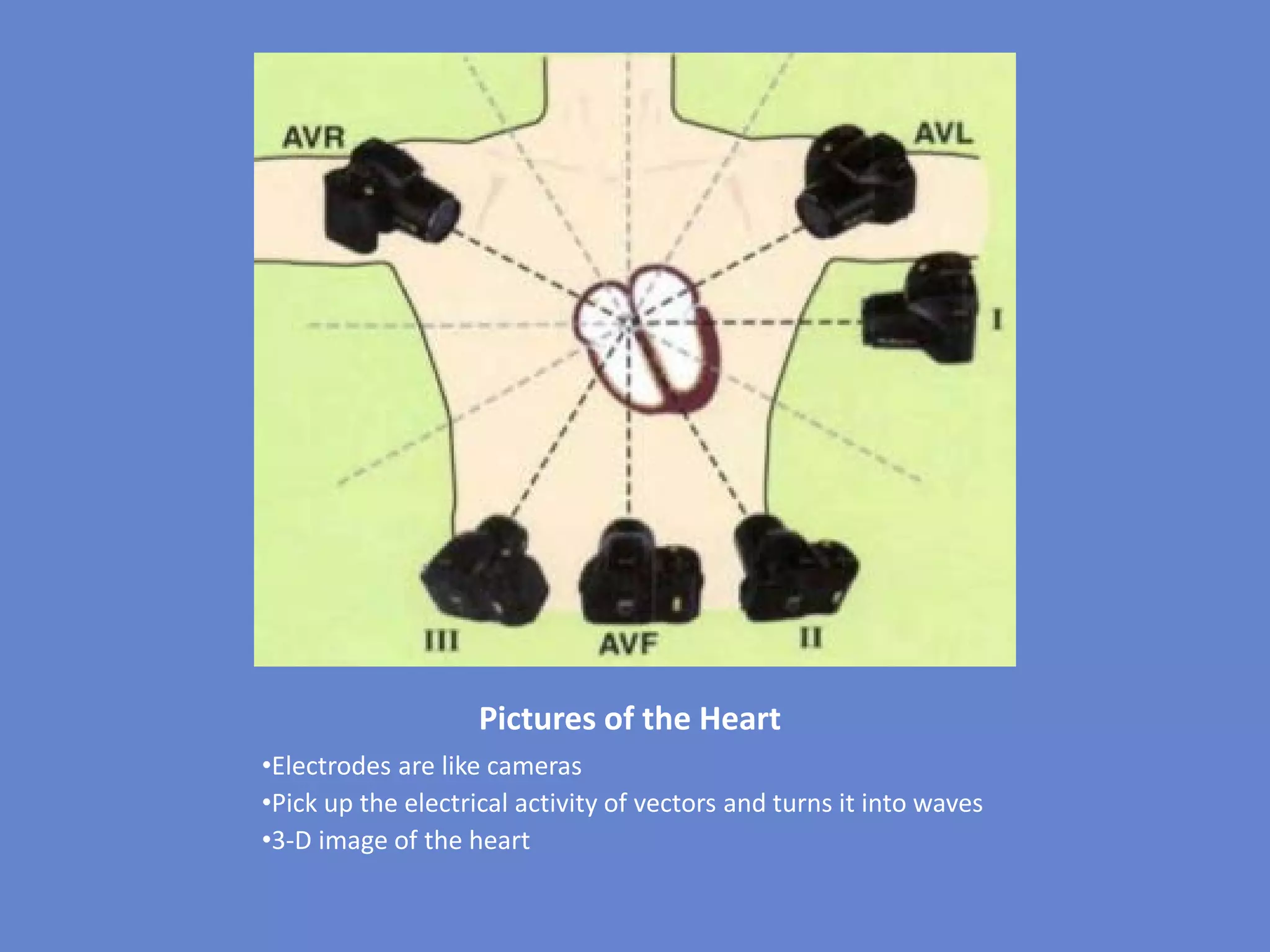 Basics of ecg | PPT