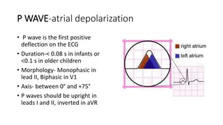Basics of ECG.pptx