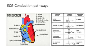 Basics of ECG.pptx