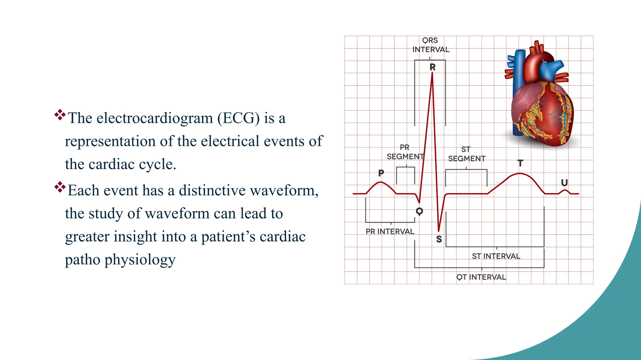BASICS OF ECGBASICS OF ECGBASICS OF ECGBASICS OF ECG | PPT