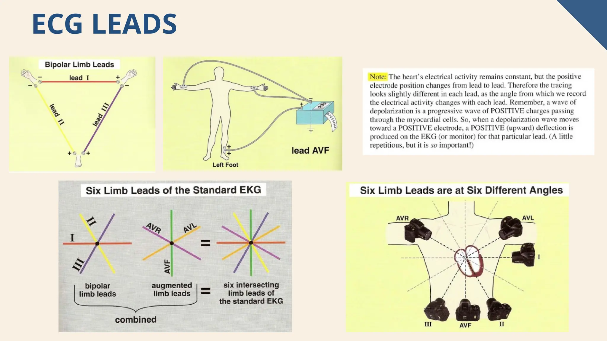 Basics of Electro Cardio Gram Interpretation.pptx