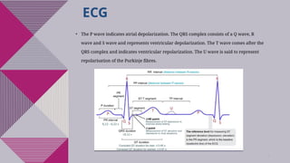 Basics of Electro Cardio Gram Interpretation.pptx