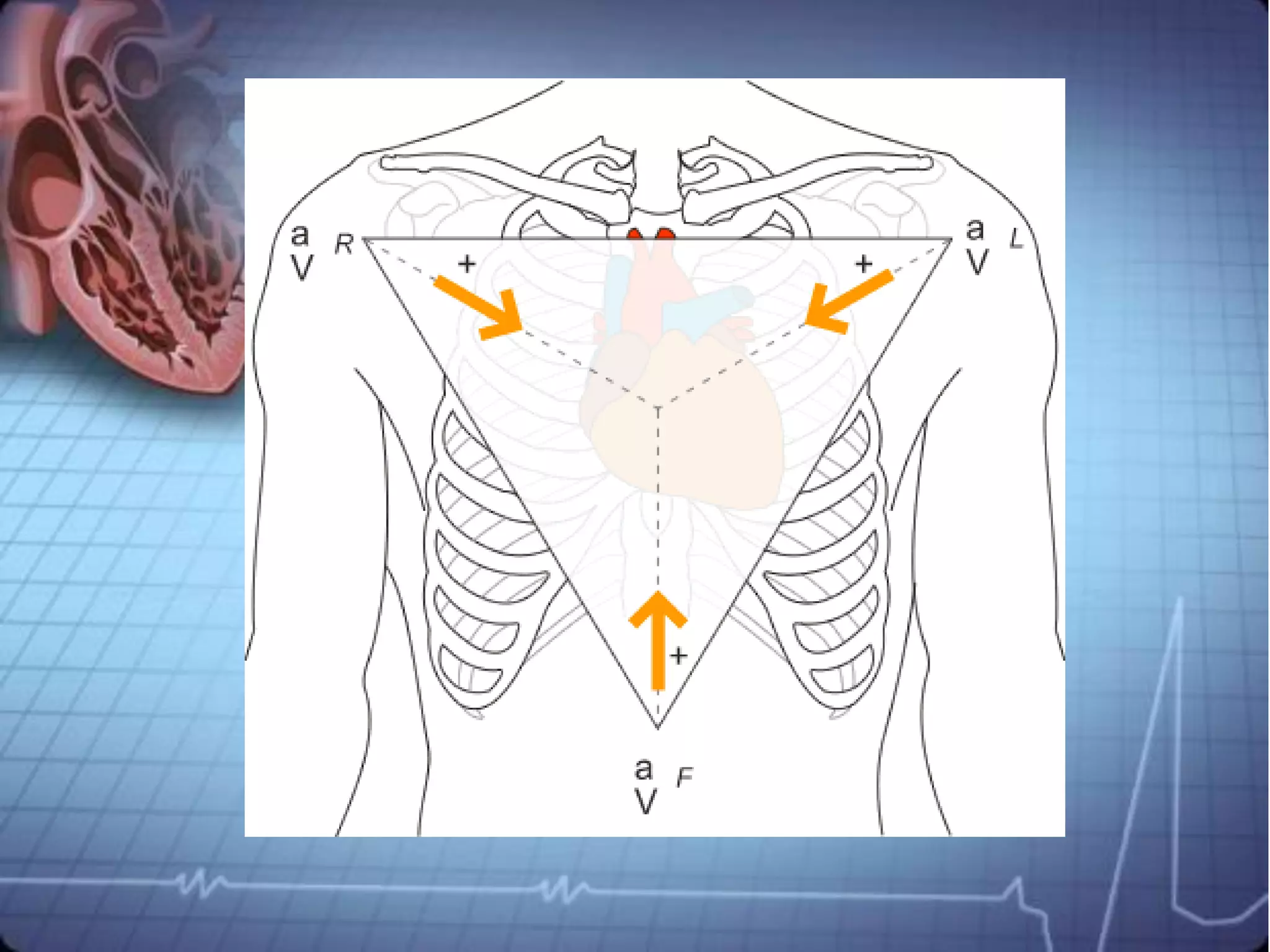 Basics of ECG physiology | PDF