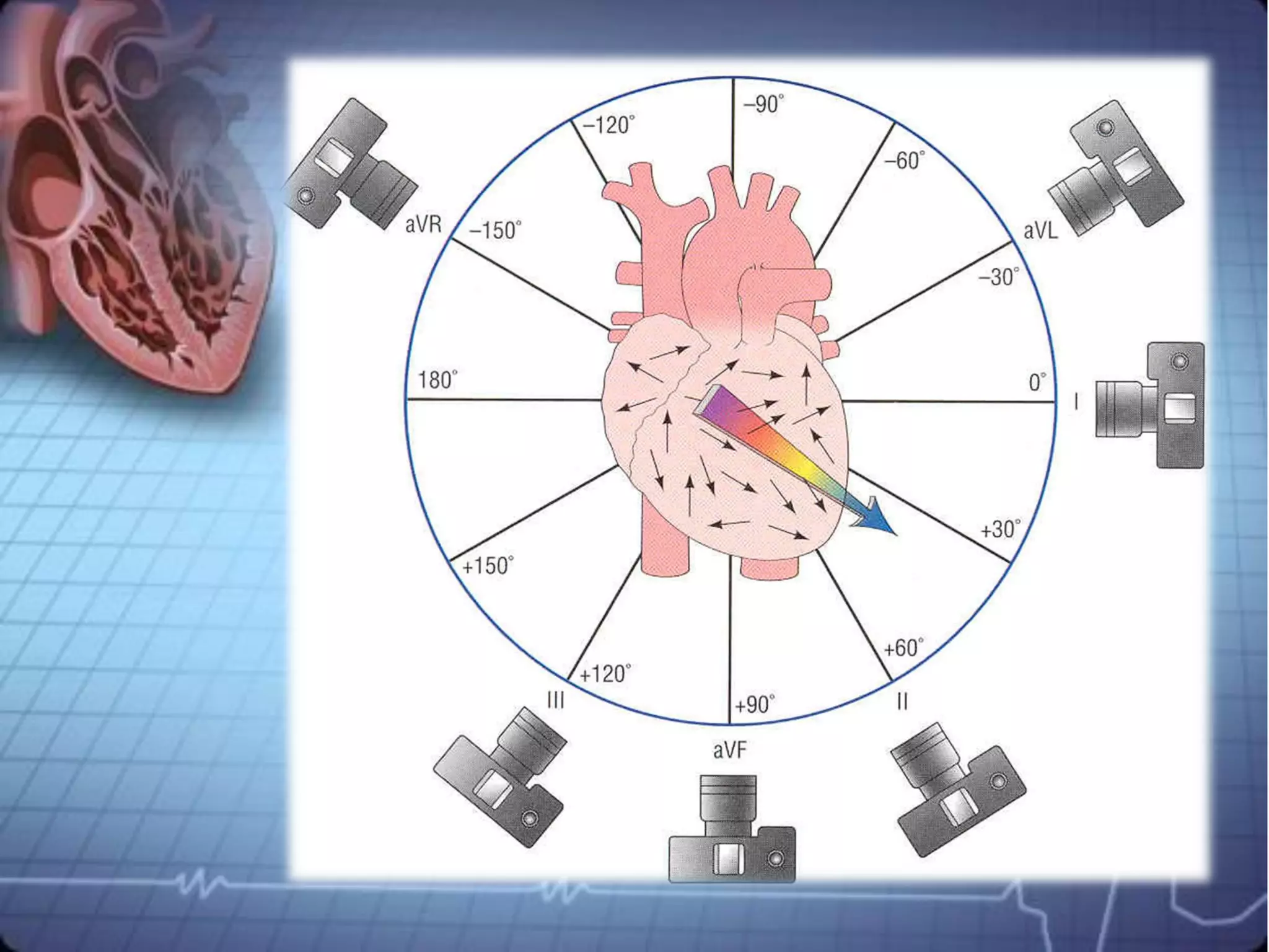 Basics of ECG physiology | PDF