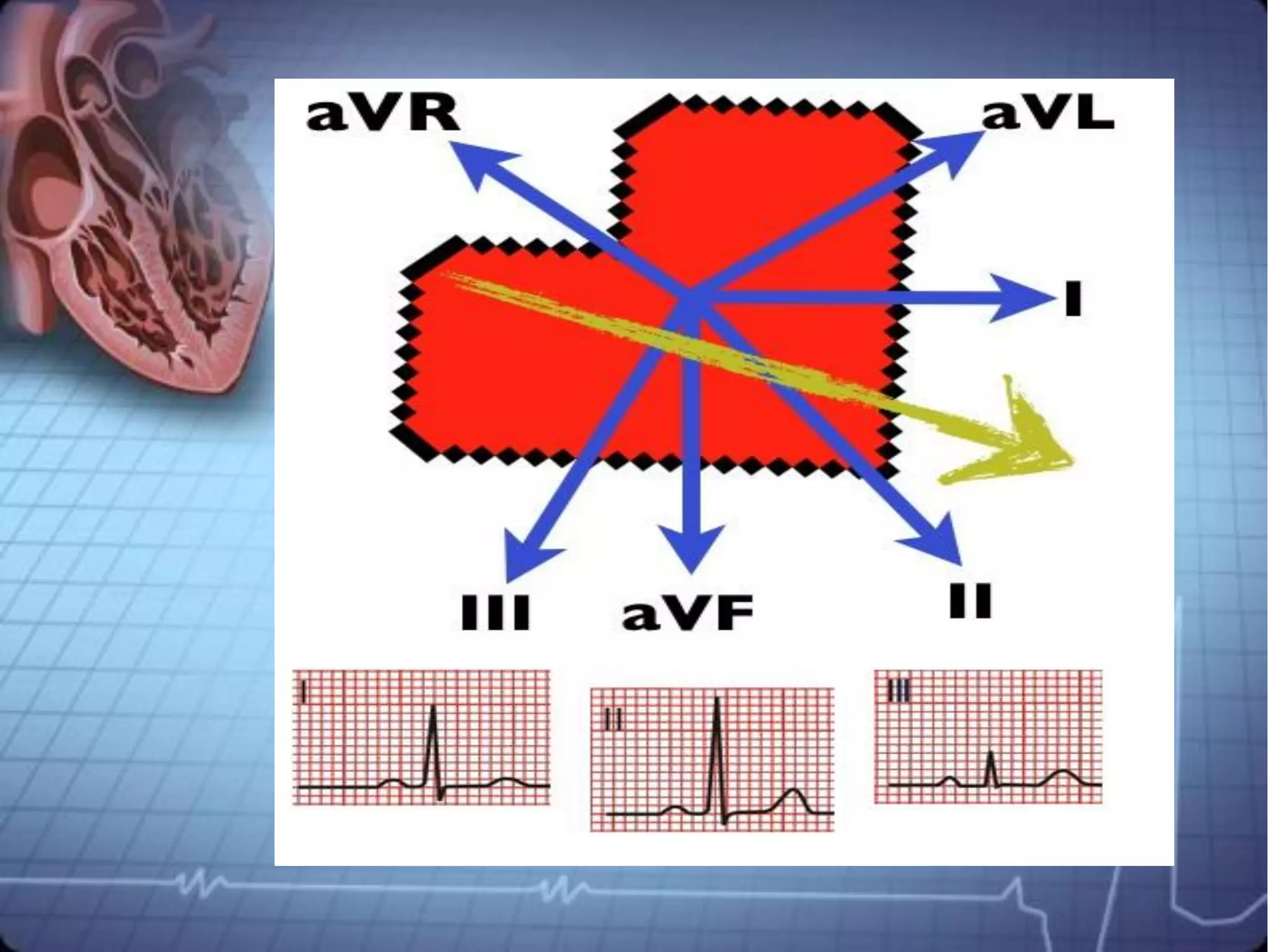 Basics of ECG physiology | PDF