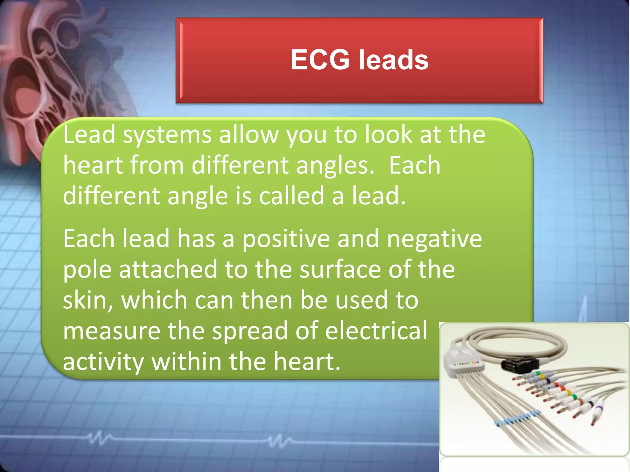 Basics of ECG physiology | PDF