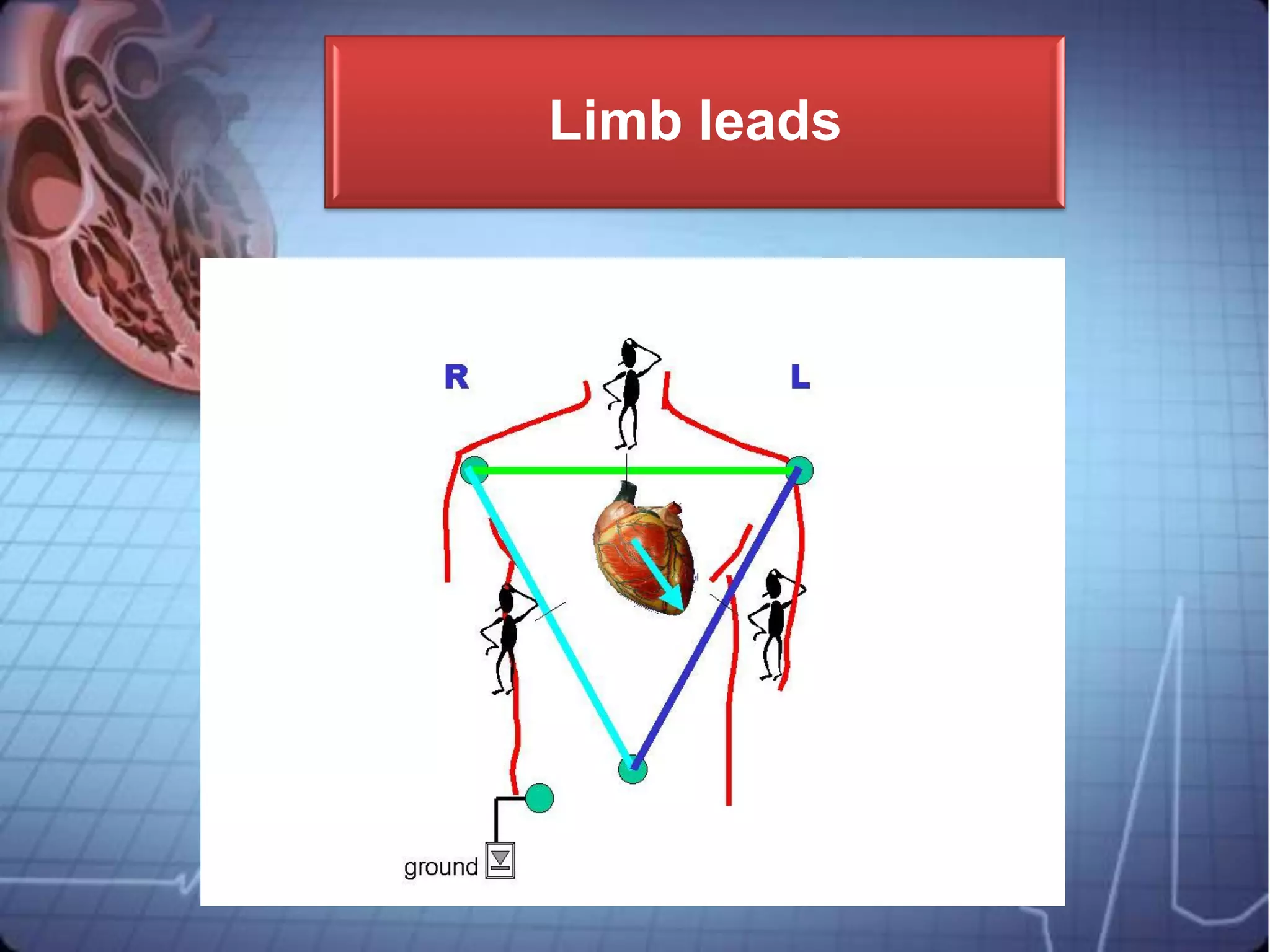 Basics of ECG physiology | PDF