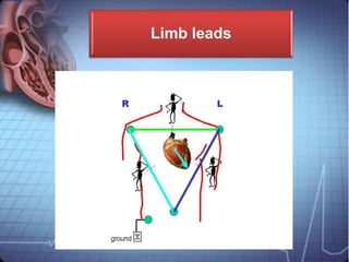 Basics of ECG physiology | PDF