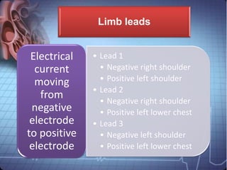 Basics of ECG physiology | PDF