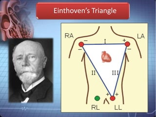Basics of ECG physiology | PDF