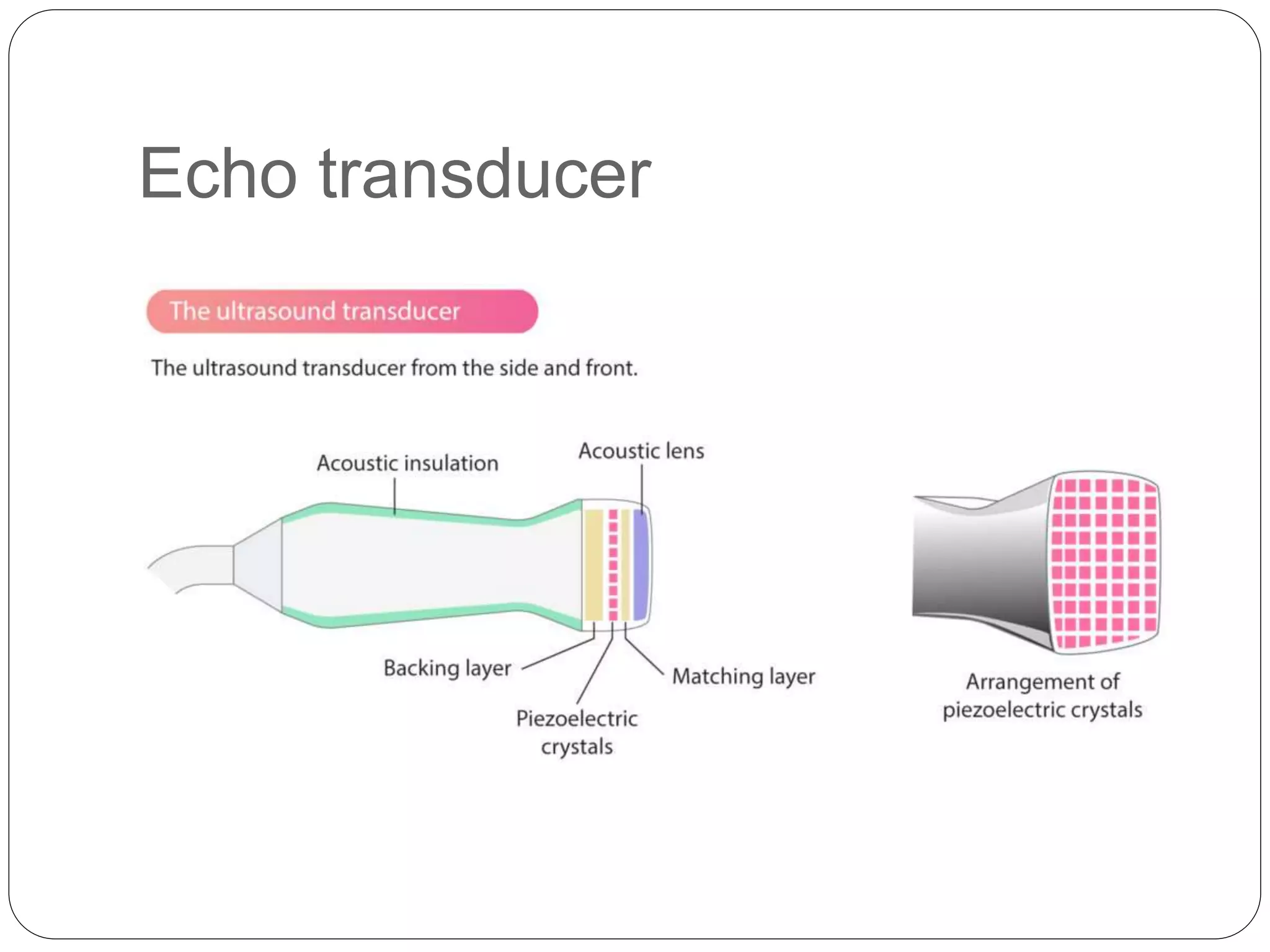 Basics of echo Cardiac Structure, Chamber quantifications & Artifacts.pptx