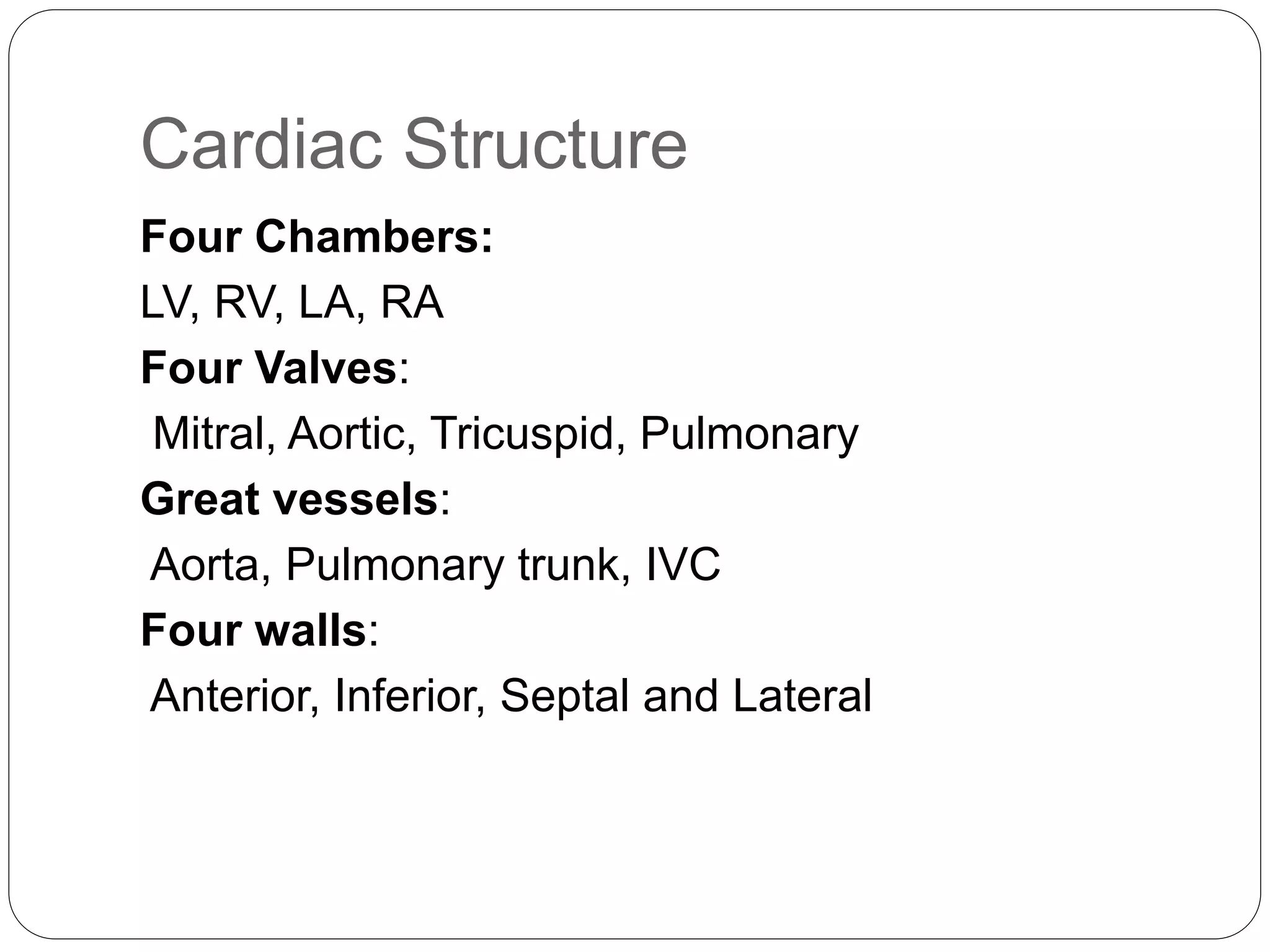 Basics of echo Cardiac Structure, Chamber quantifications & Artifacts.pptx