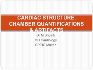 Basics of echo Cardiac Structure, Chamber quantifications & Artifacts.pptx | Digital Audio ...