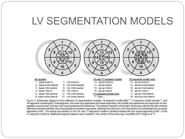 Basics of echo Cardiac Structure, Chamber quantifications & Artifacts.pptx | Digital Audio ...