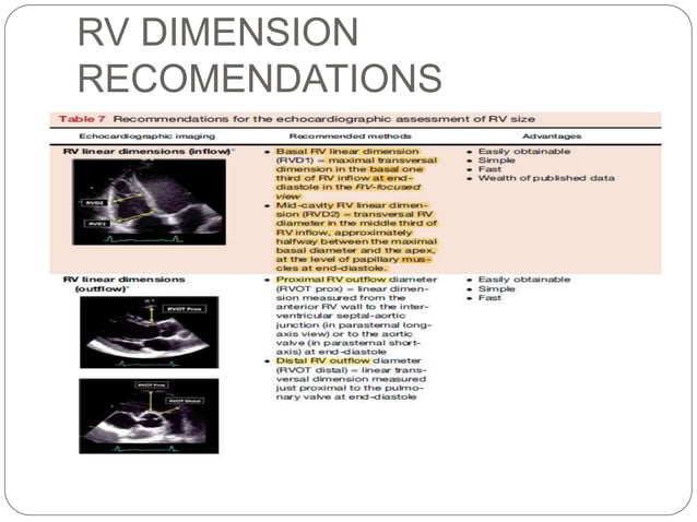 Basics of echo Cardiac Structure, Chamber quantifications & Artifacts.pptx | Digital Audio ...