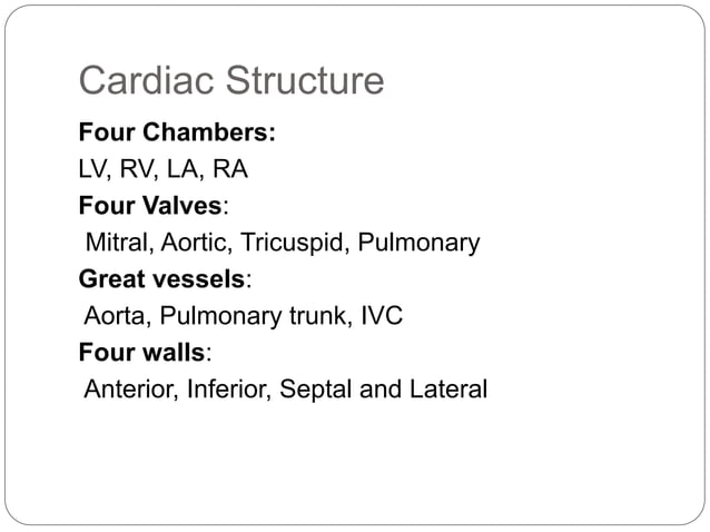 Basics of echo Cardiac Structure, Chamber quantifications & Artifacts.pptx | Digital Audio ...