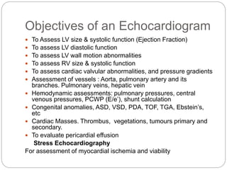 Basics of echo Cardiac Structure, Chamber quantifications & Artifacts.pptx