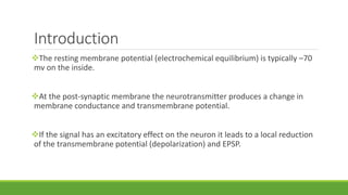 Basics of electroencephalography | PPTX