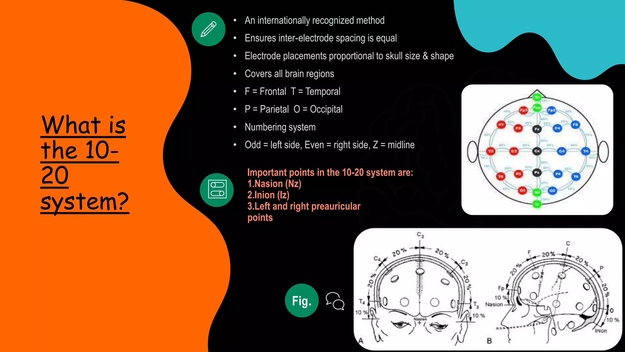 Basics of eeg signal | PPTX