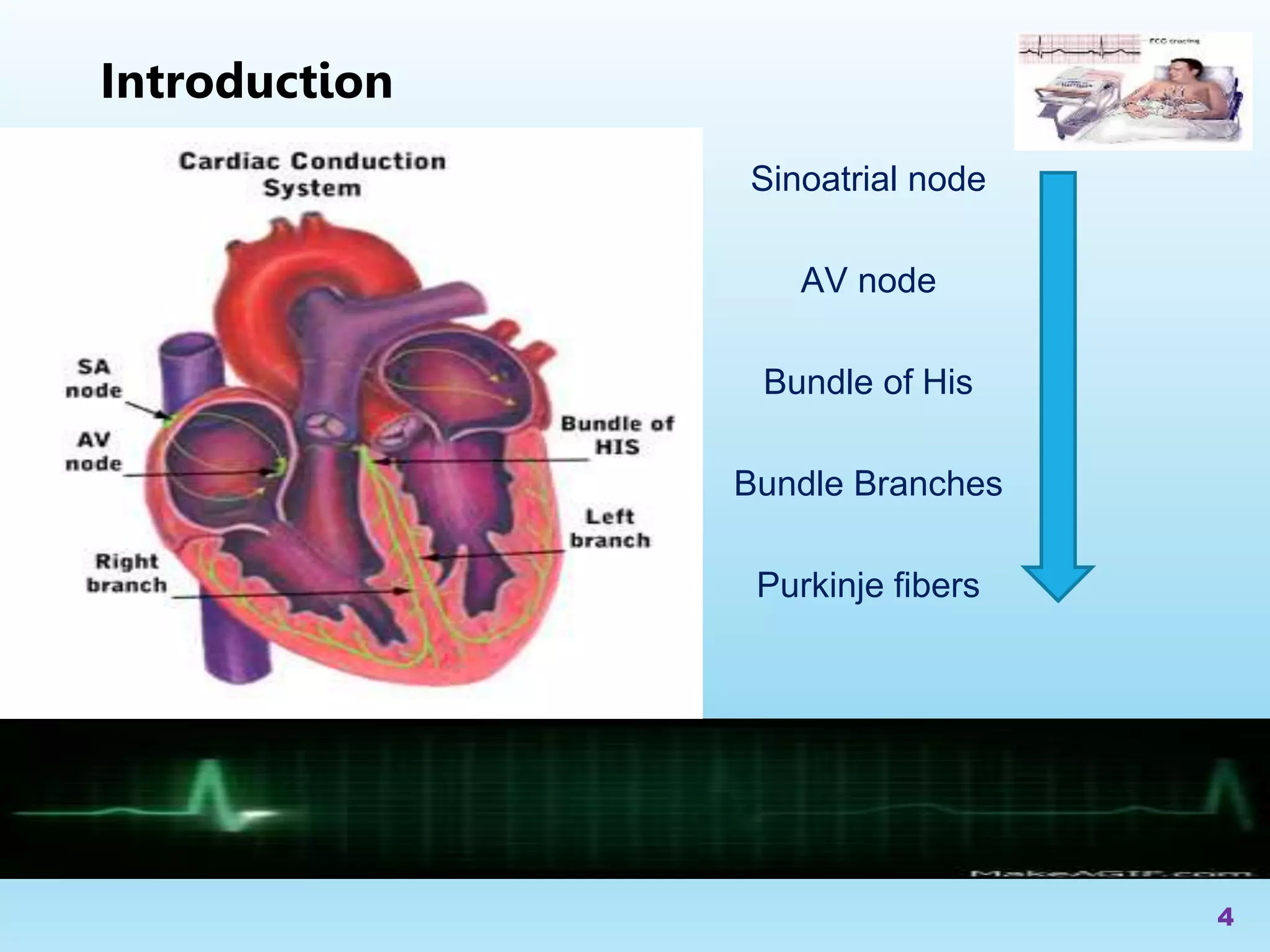 Basics of Electrocardiography.pptx