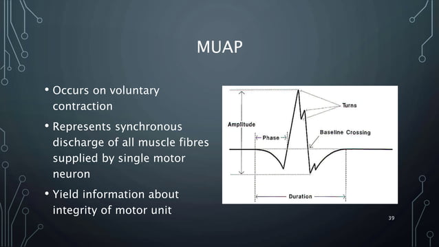 Basics of electro myo graphy study (EMG) | PPTX