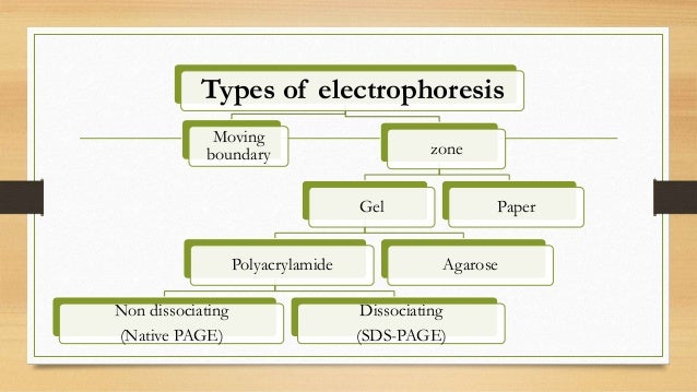 Basics of electrophoresis