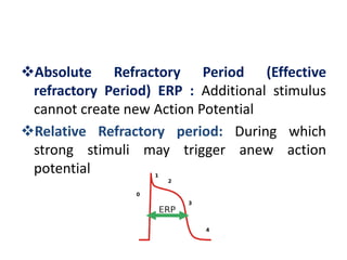 Basics of electro physiology of heart | PPTX