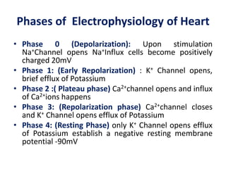 Basics of electro physiology of heart | PPTX