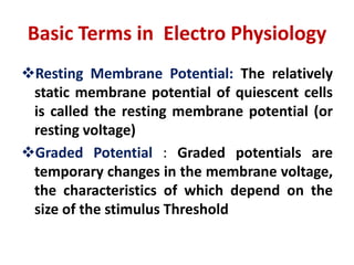 Basics of electro physiology of heart | PPTX