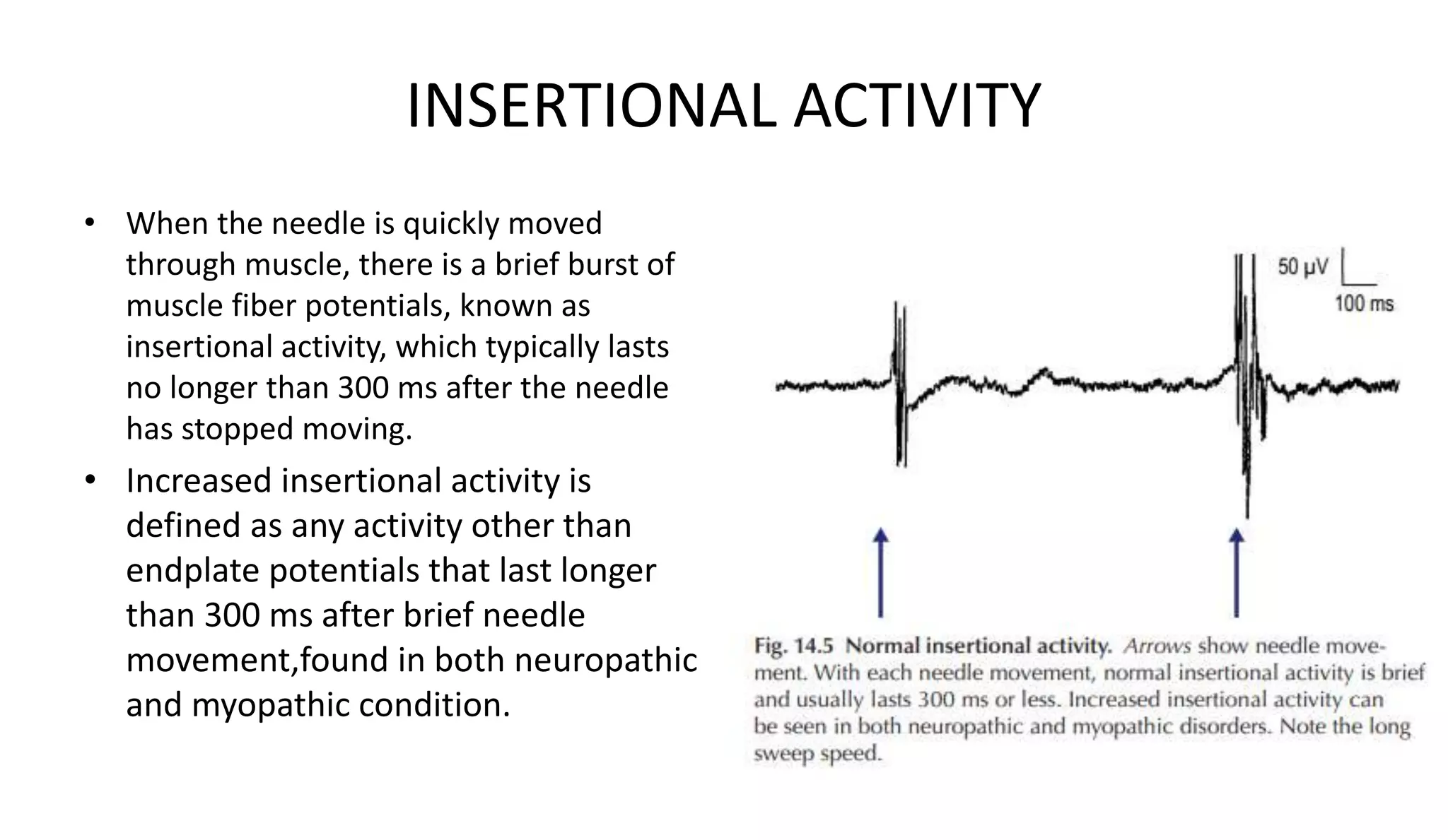 Basics of emg | PPTX