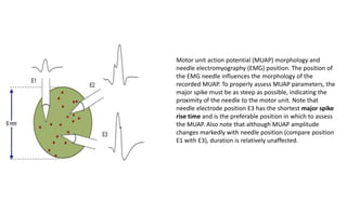 Basics of emg | PPTX
