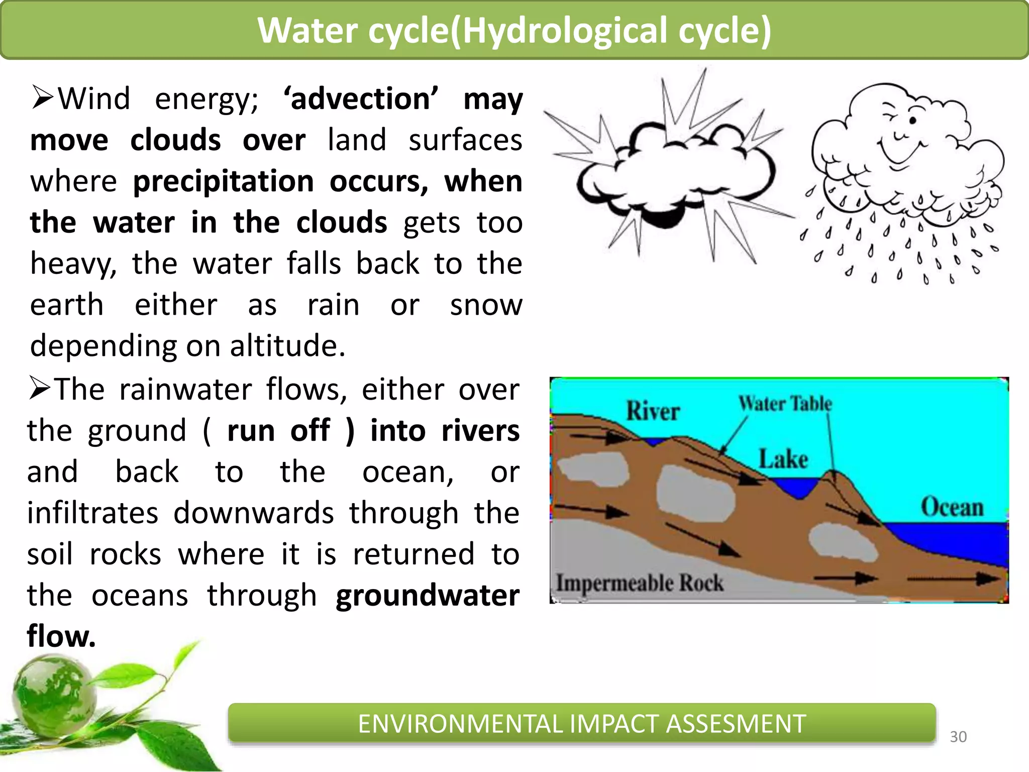 Basics of environment | PPTX | Science