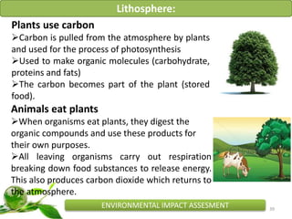 Basics of environment | PPTX